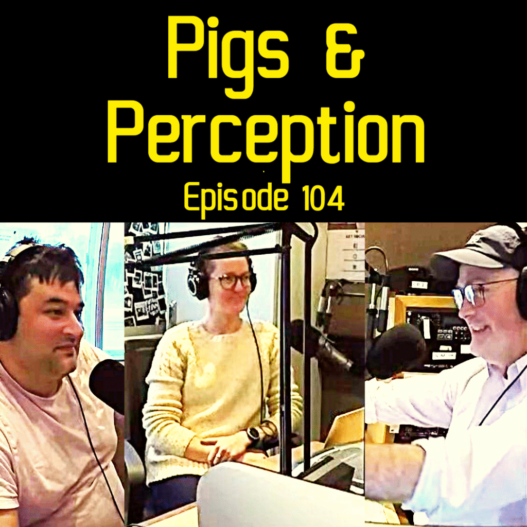 Pigs and Perceptions: Analysing Australia's Pork Landscape - Media Mothership